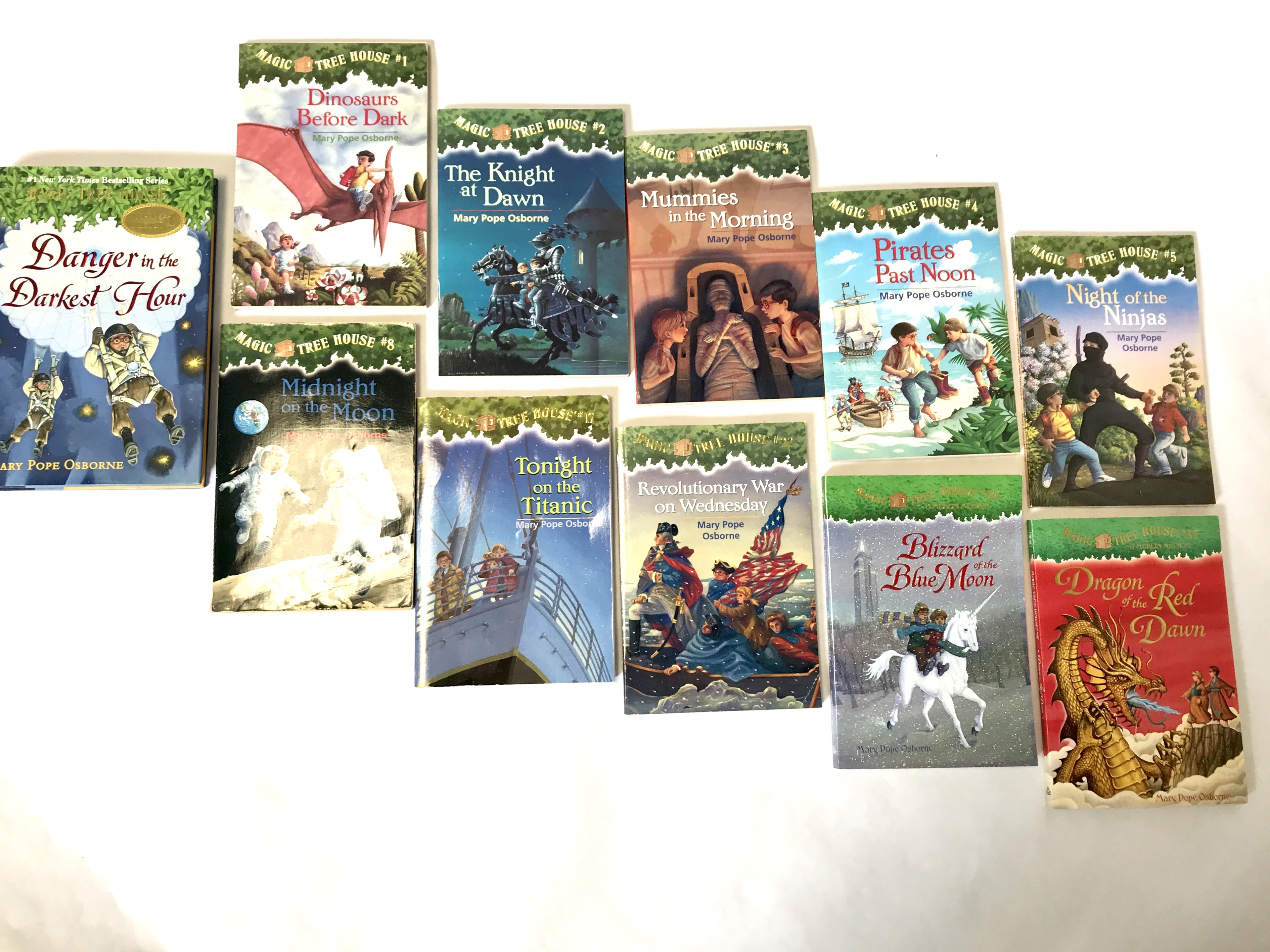 Magic Tree House set